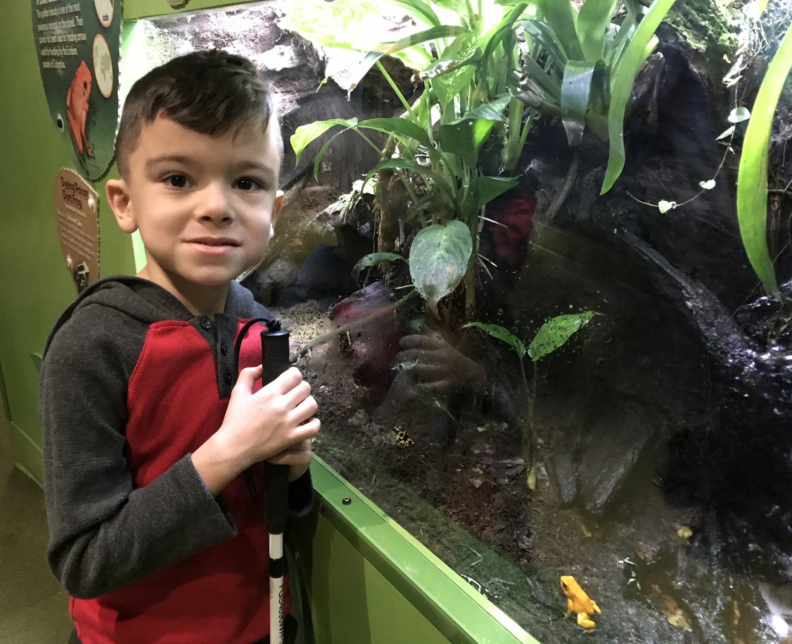 What Is CVI? Brain-Based Visual Impairment | Pediatric Cortical Visual ...